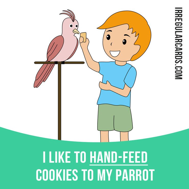 Hand Feeding Animals Cartoon