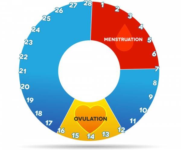 Menstrual Cycle Chart Safe Days