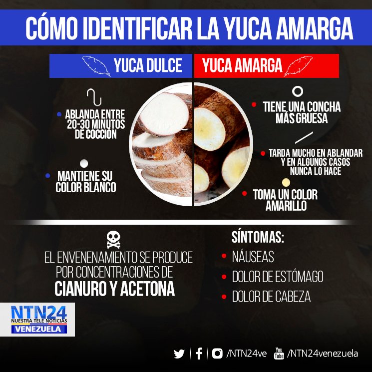 Infografía Aprenda la diferencia entre la yuca amarga y dulce | NTN24 ...
