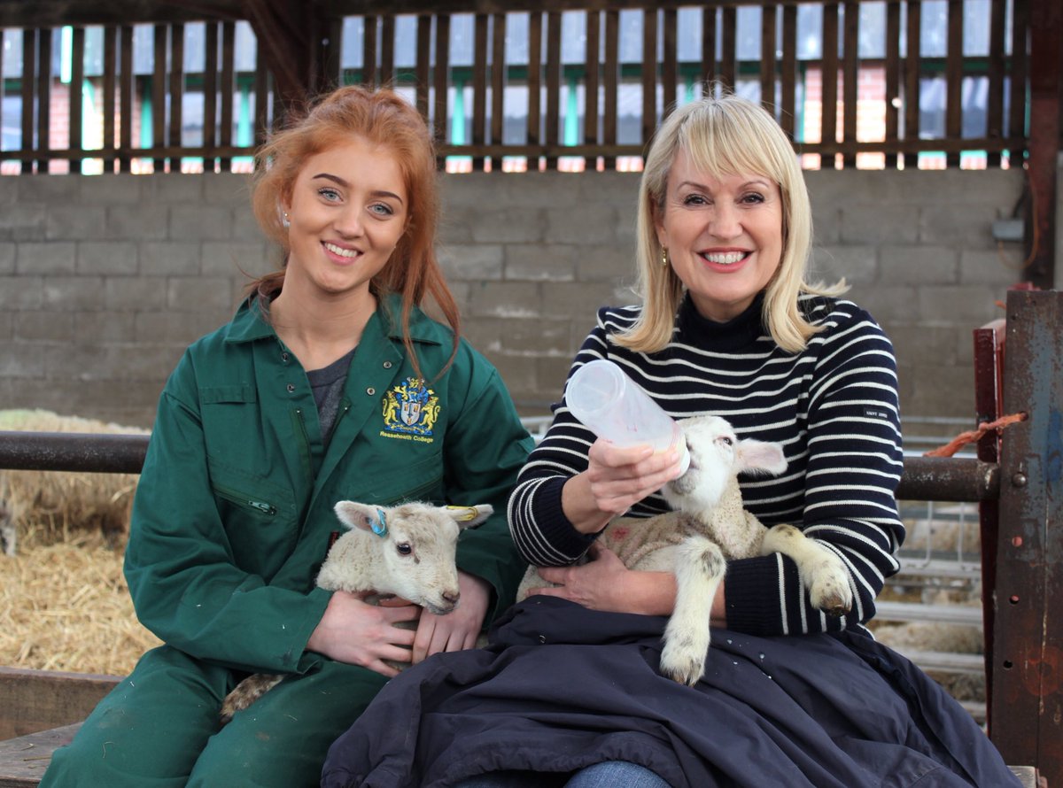 James Bickerton (@bicfarm) | Twitter