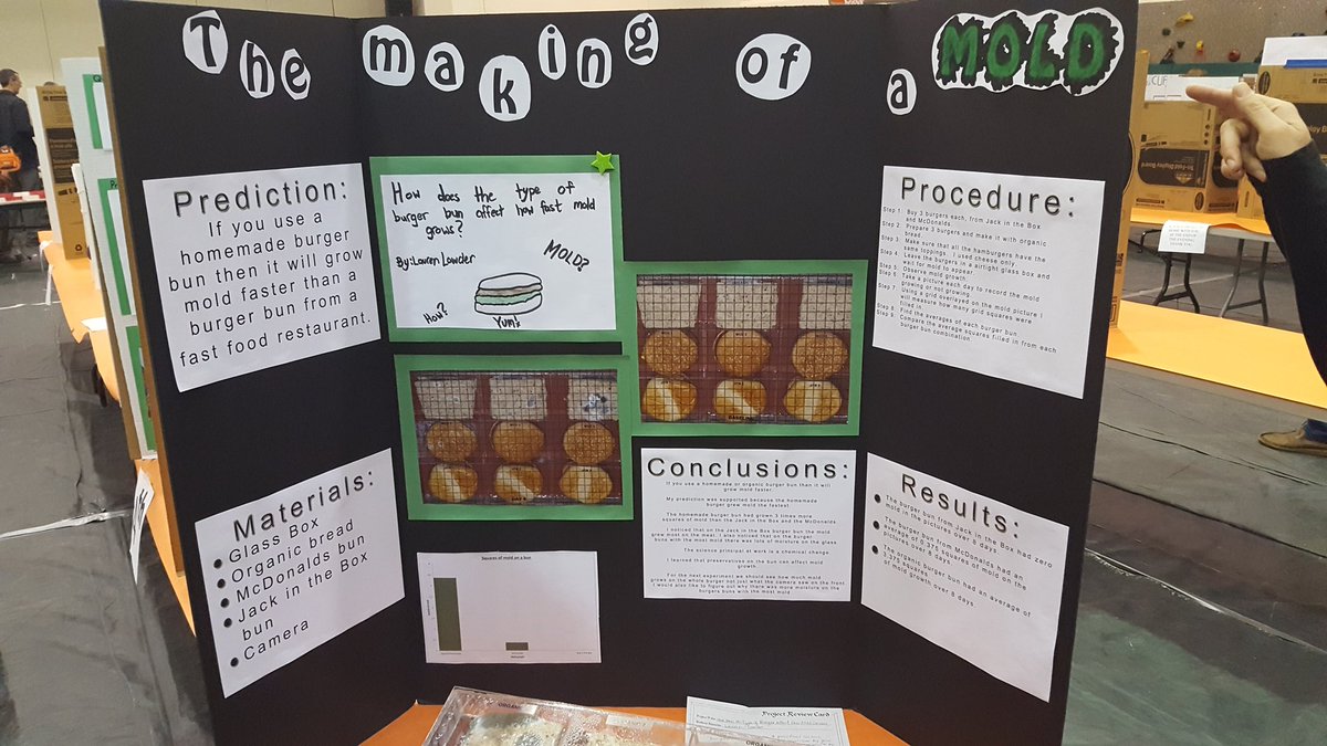 Bread Mold Science Fair Project