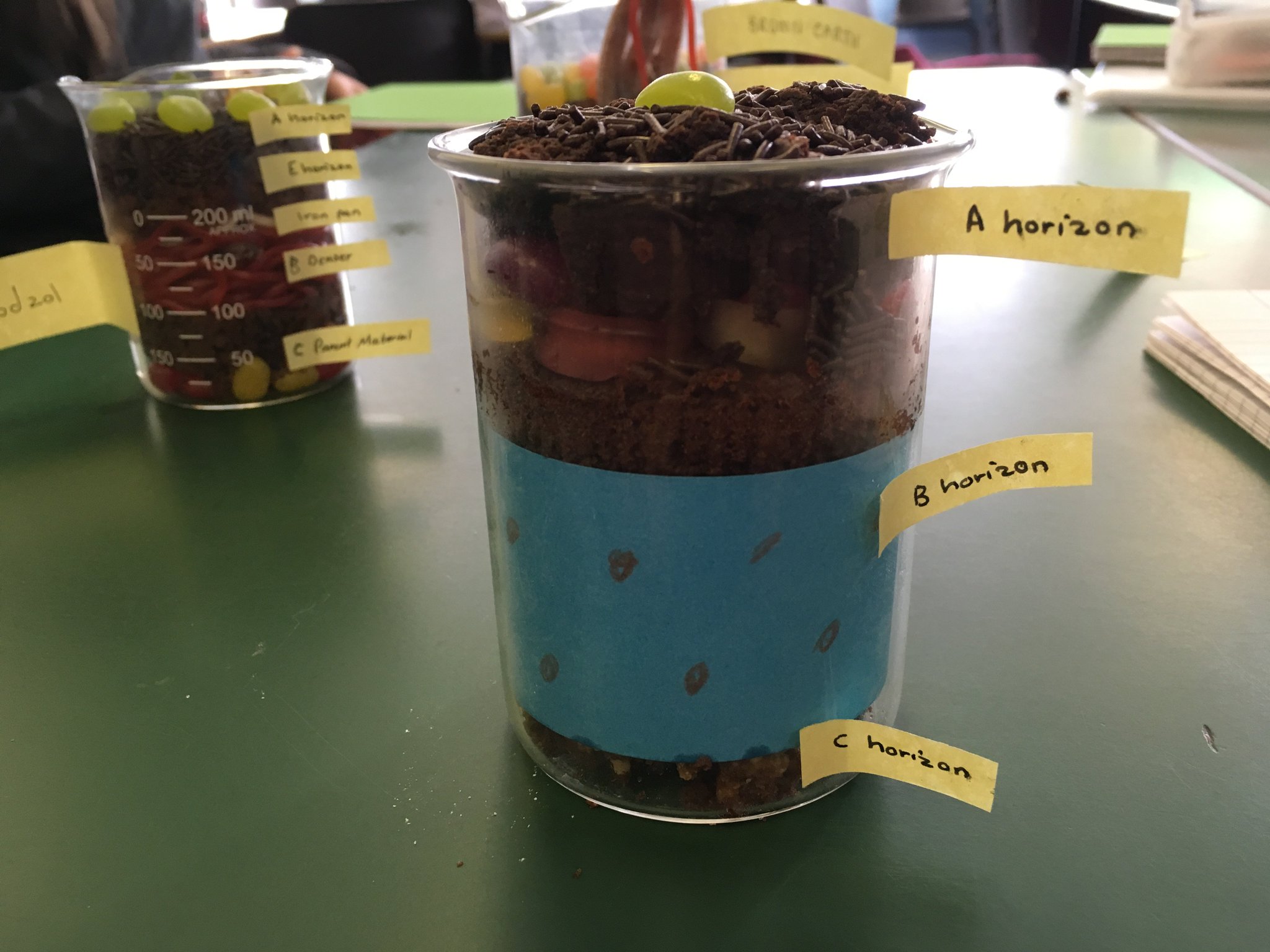 Edible Soil Profile