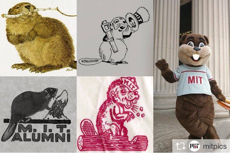 Mit Mascot
