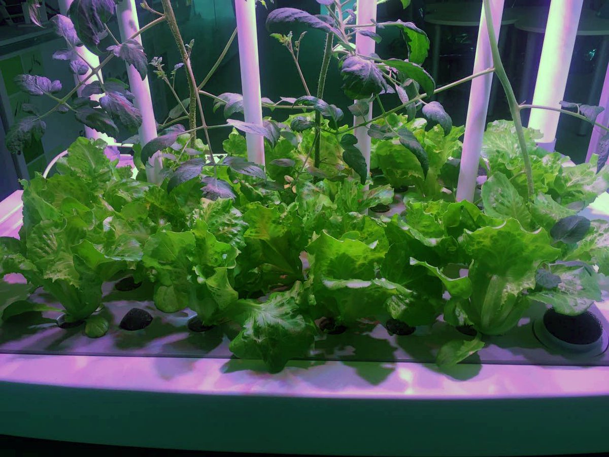 OPCOM Link (@OPCOM_group) | Twitter