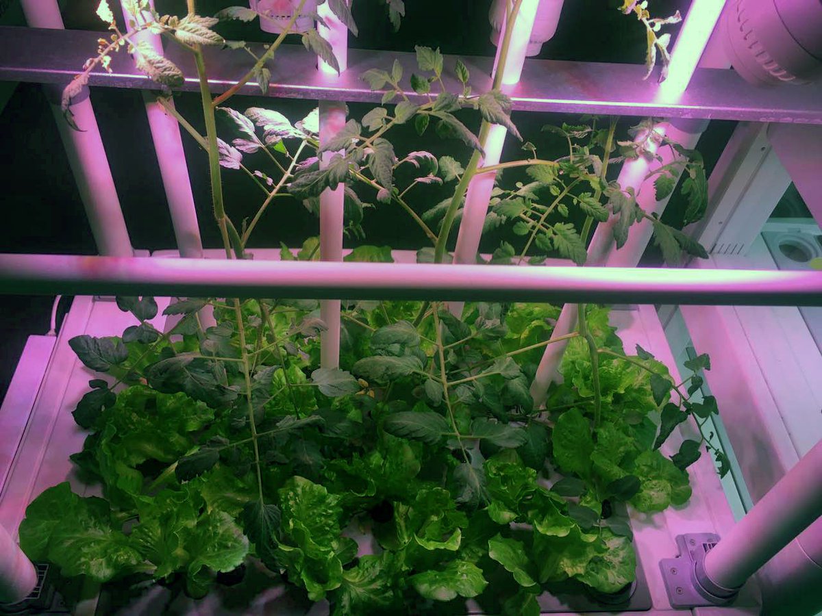 OPCOM Link (@OPCOM_group) | Twitter