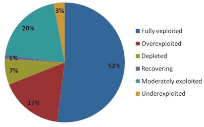 Overfishing Charts