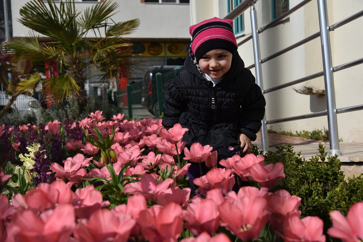 Nilgün Sinan (@nilgn_sinan) | Twitter