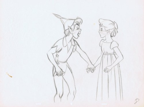 Peter Pan And Wendy Outline