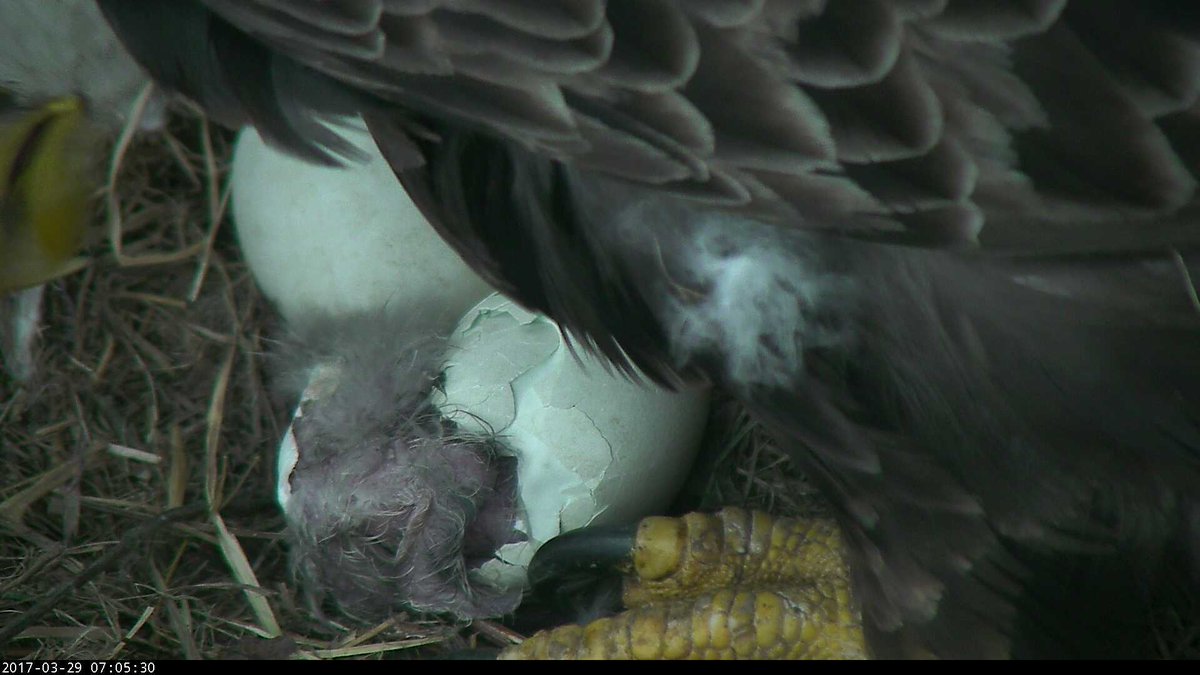 Daniel Conner (@danielconner) | Twitter