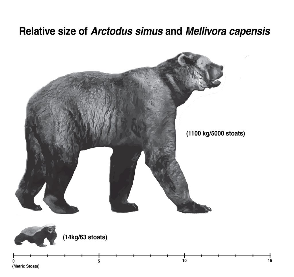 Short Faced Bear Size Comparison