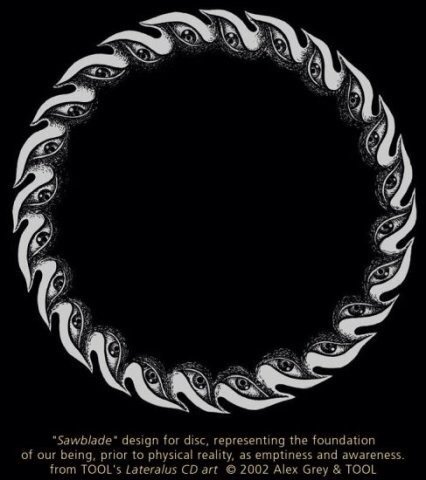 Alex Grey Lateralus Eye