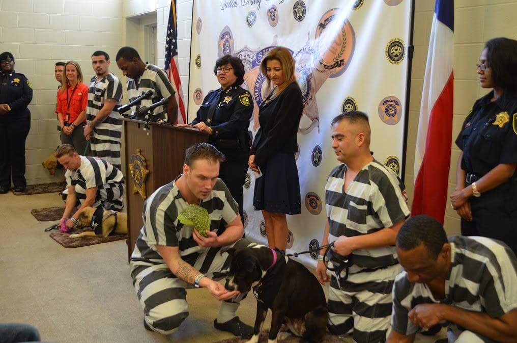 Dallas County, TX Inmates | People Lookup