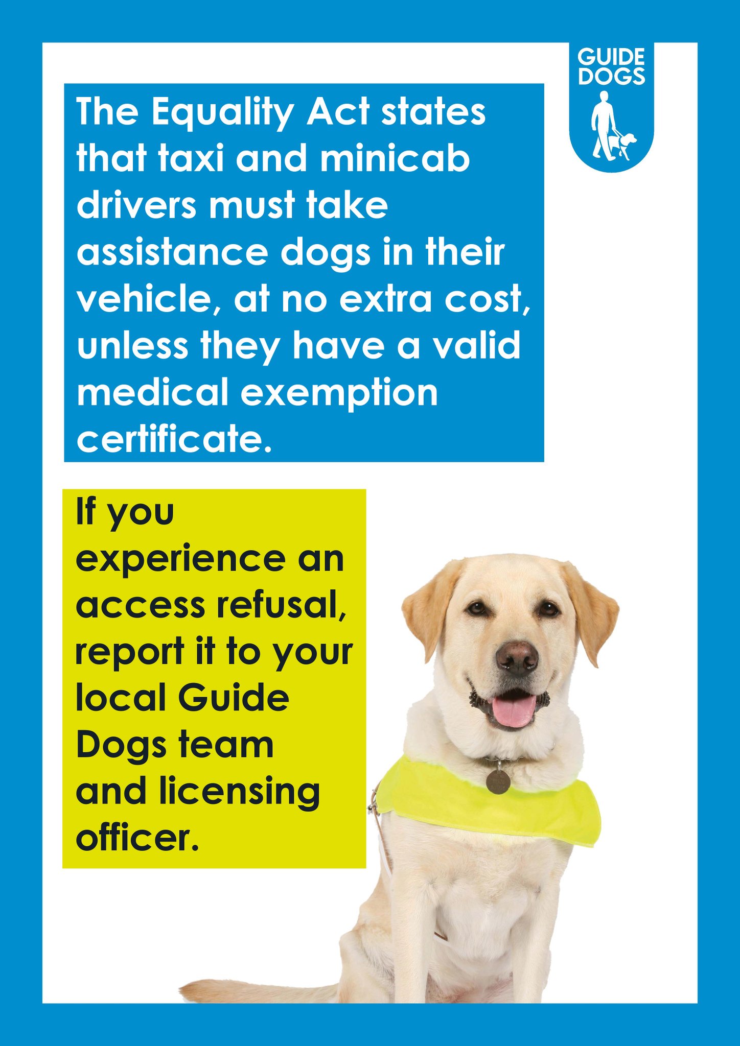 How Much Does A Guide Dog Team Cost