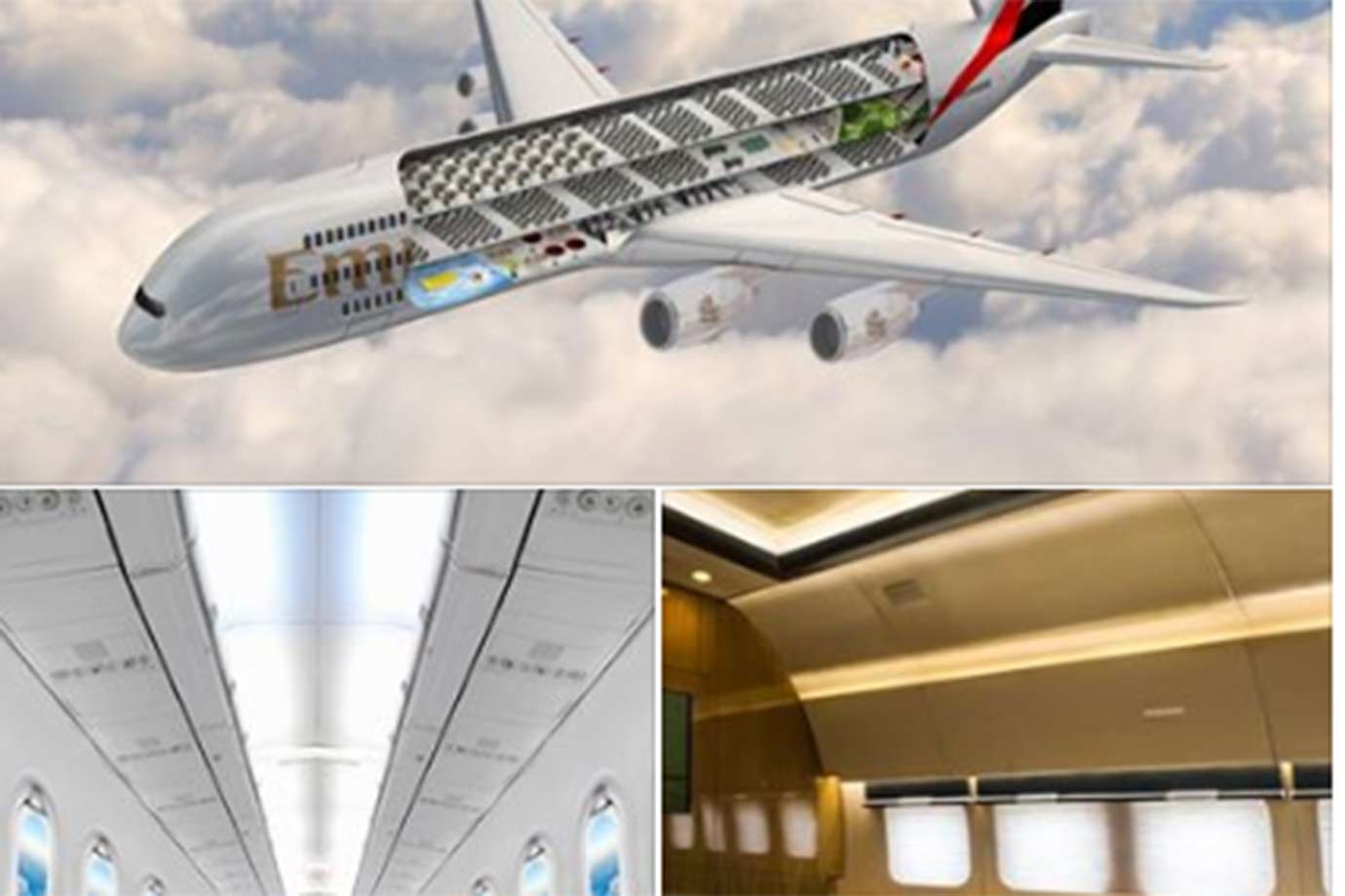 Emirates Airbus A380 Swimming Pool