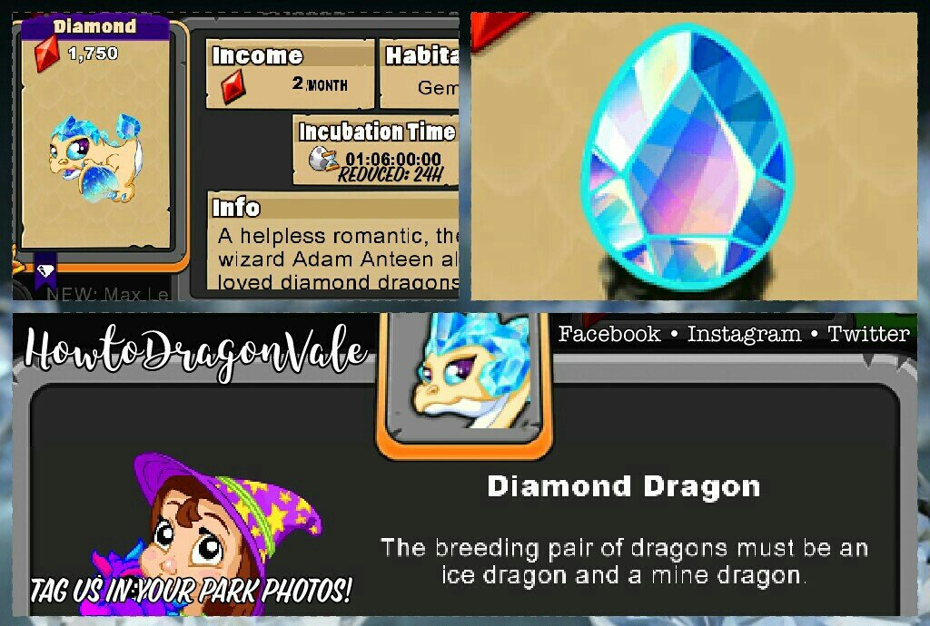 Diamond Dragon Dragonvale