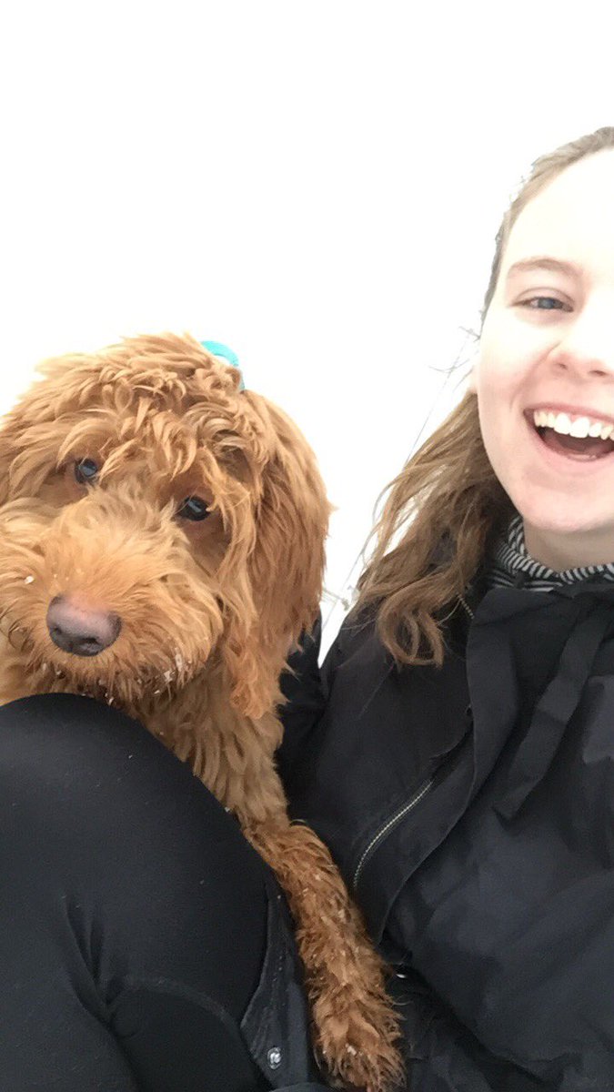 Delaney Sullivan (@delaney_128) | Twitter