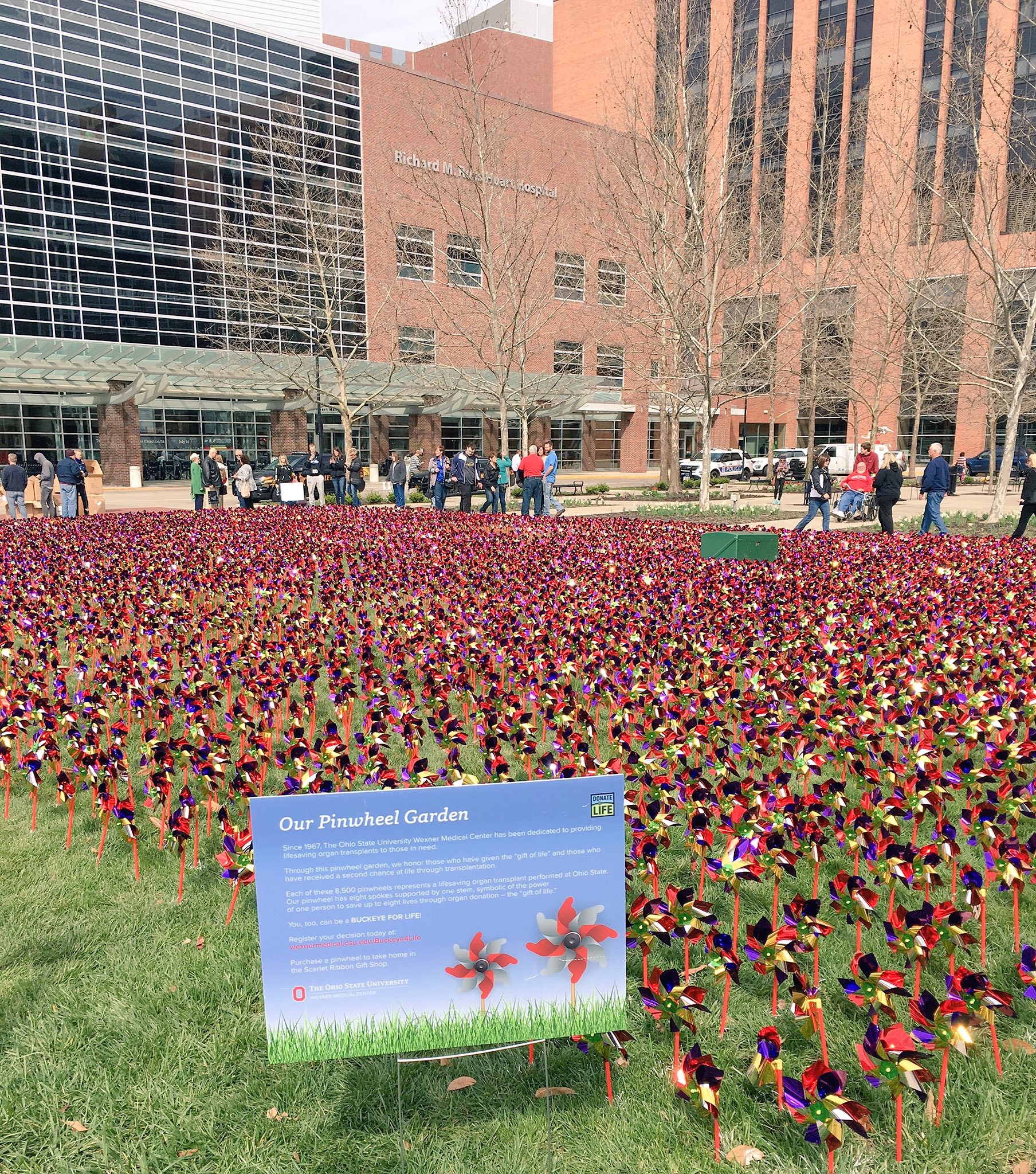 Ohio State University Hospital Flowers | Best Flower Site