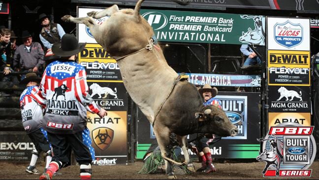 Top Bucking Bull Ever
