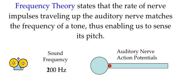 Frequency Theory Psychology