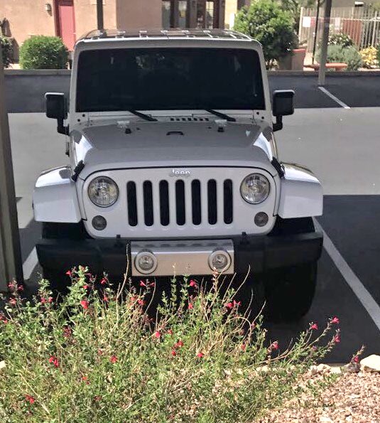 Tw Pornstars Christy Berrie Twitter I Think My Neighbor Washed My