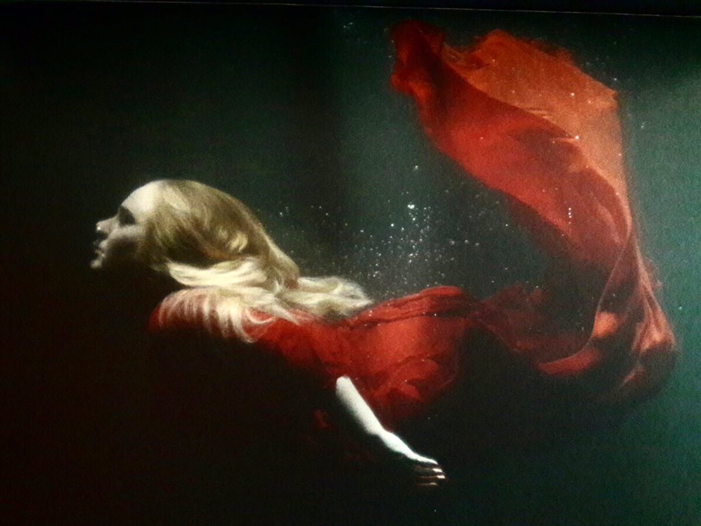 Skyfall Wallpaper Adele