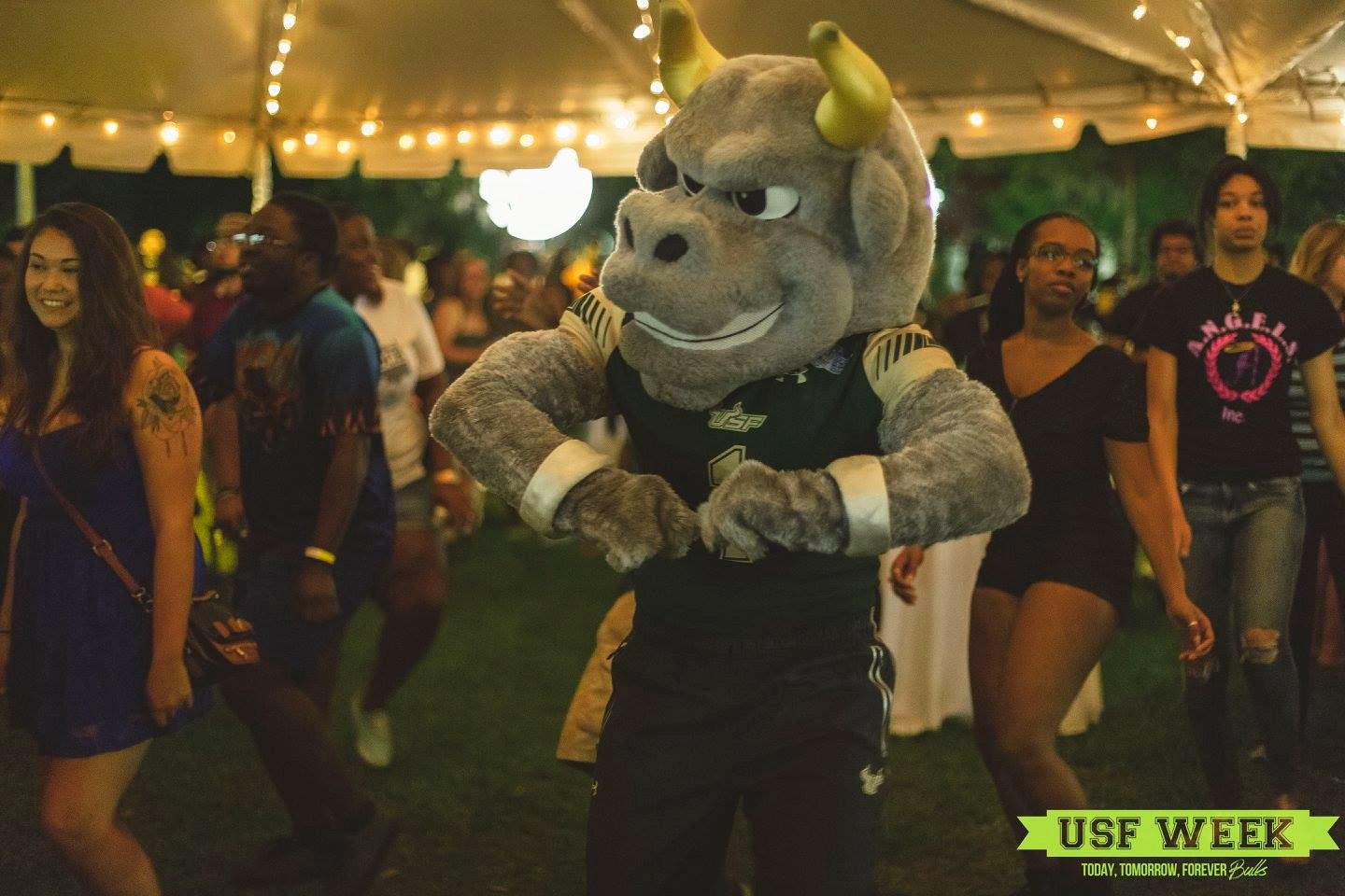Usf Party