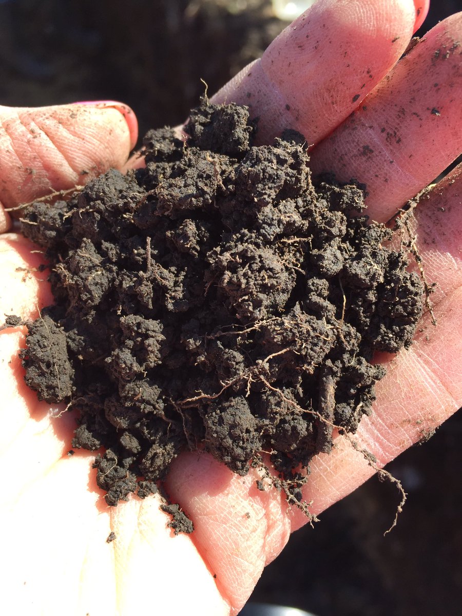 Granular Soil Structure