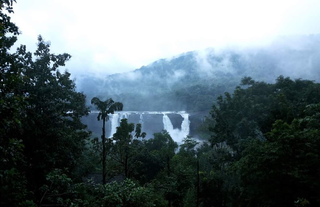 cp soman Kerala (@cp_soman) | Twitter