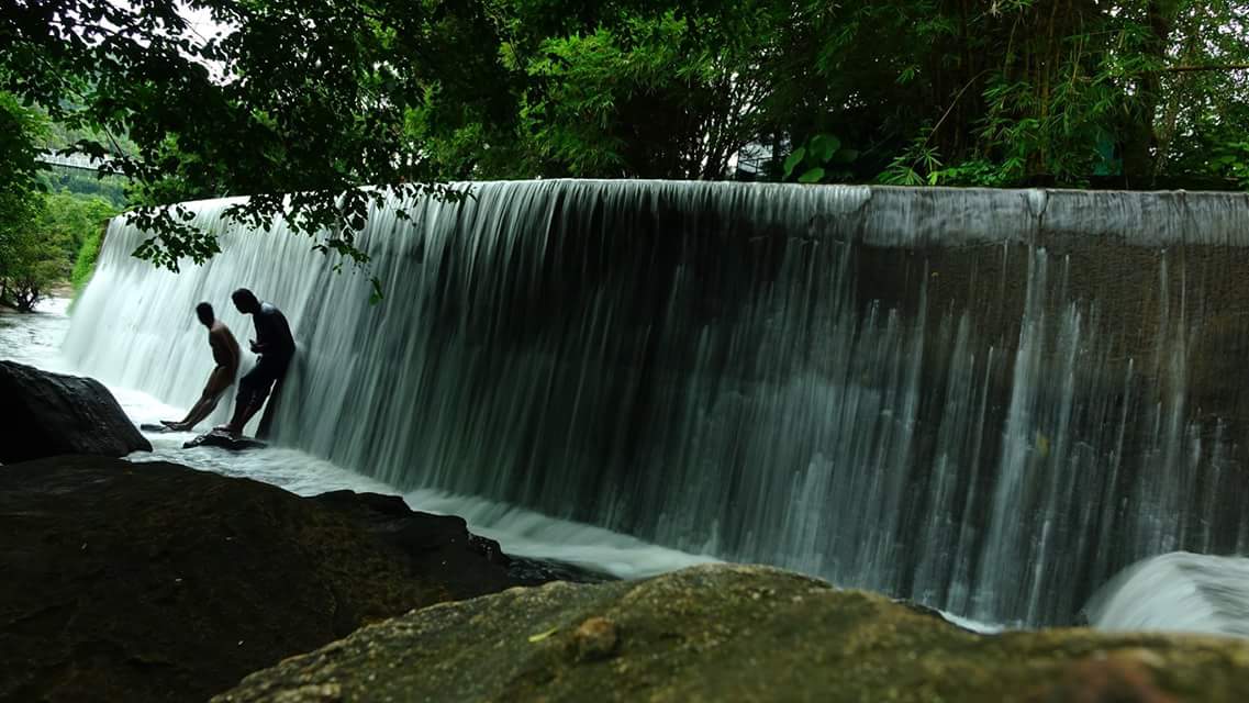 cp soman Kerala (@cp_soman) | Twitter