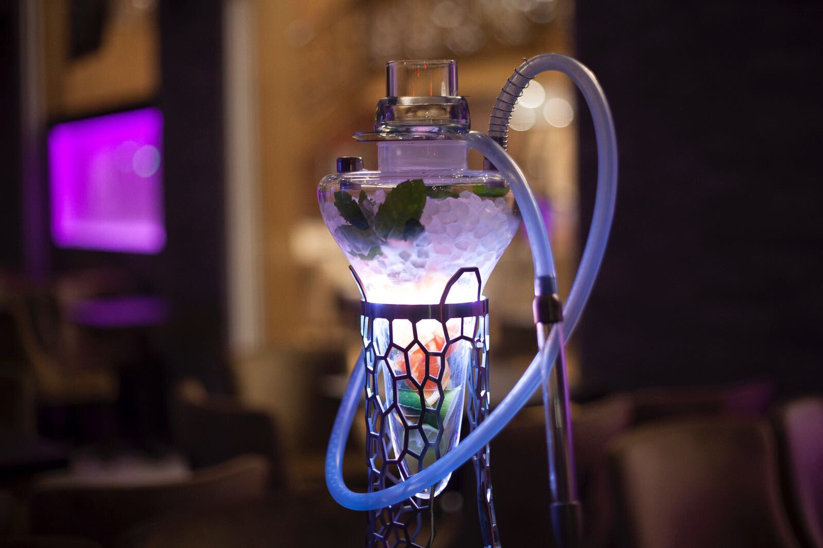 Meduse Hookah