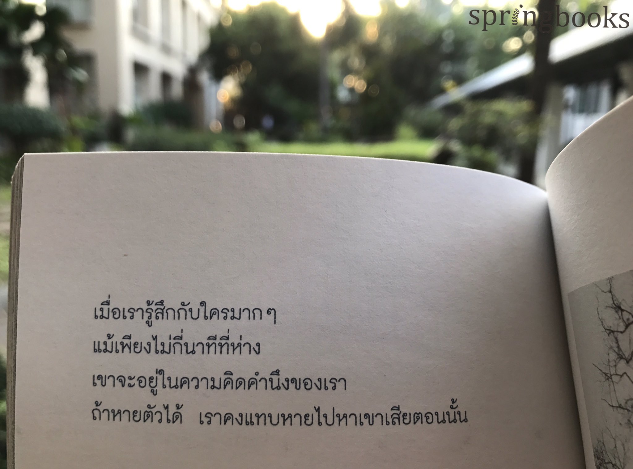 Springbooks on Twitter: "อยากวาร์ปไปหาตอนนี้เลย — บางส่วนจากหนังสือ"โตขึ้นจึงรู้ว่า... "เขียนโดย ...