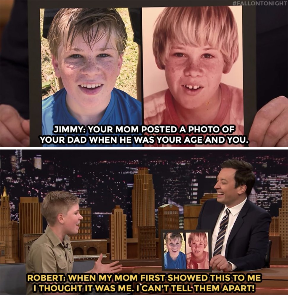 Steve Irwin Crocodile Meme