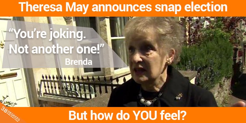 Funny Brenda Memes