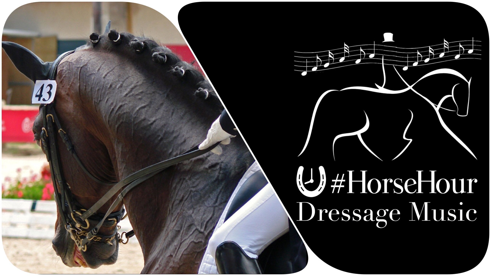 #HorseHour on Twitter: "Time to dance with your horse! Get your first specially produced # ...