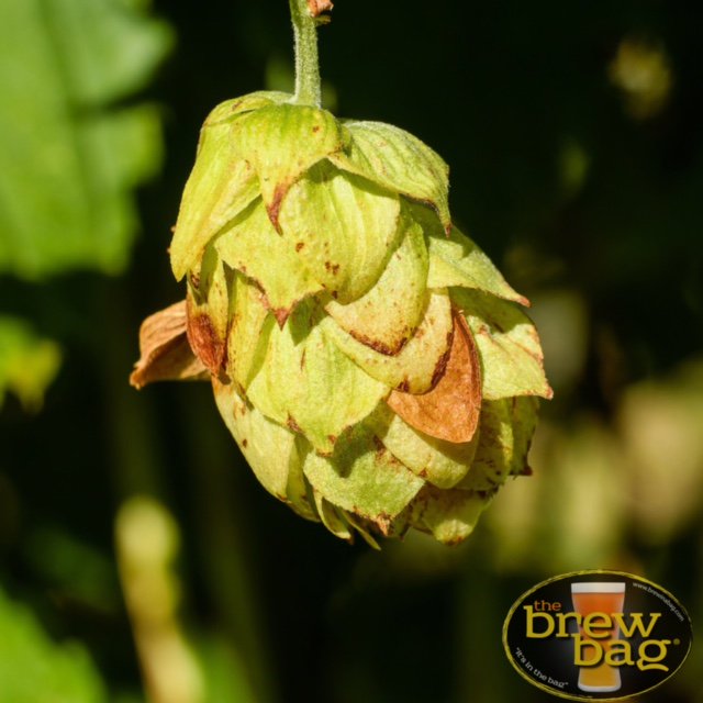 Matt Epler (@th3righthook) | Twitter