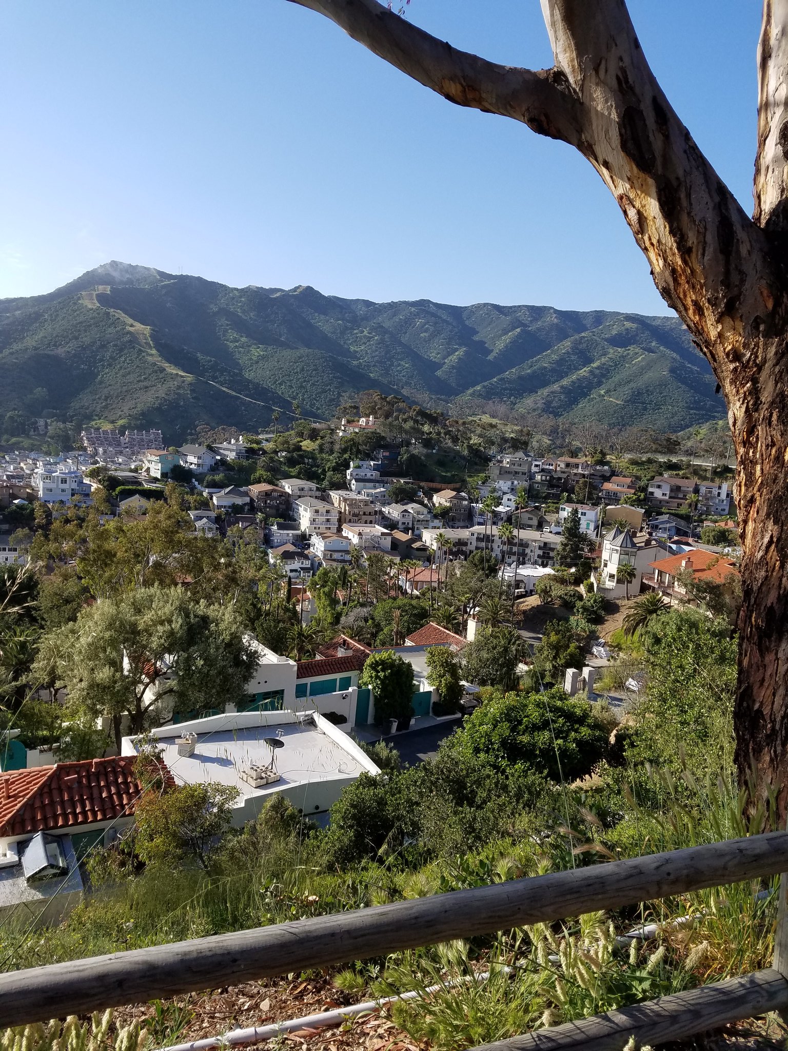 TW Pornstars - 2 pic. Kera Lynn. Twitter. Love is all around