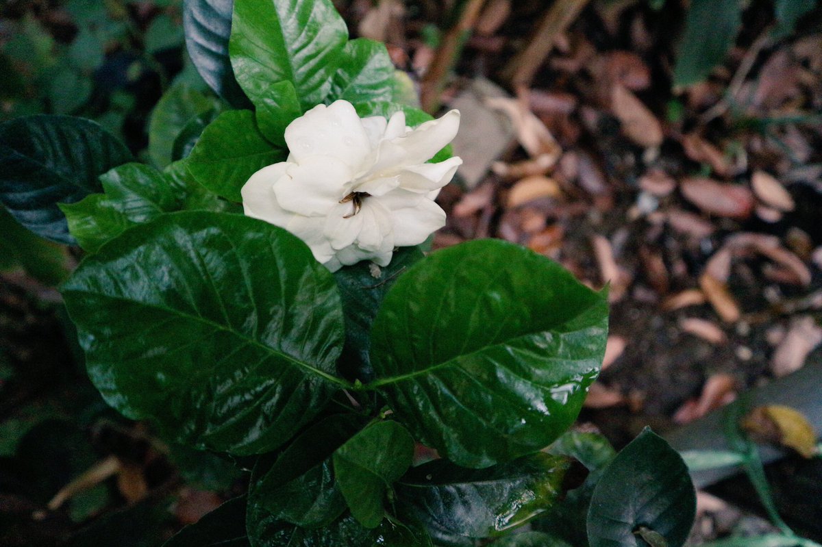 BoO_BeE (@patchara_BeE) | Twitter