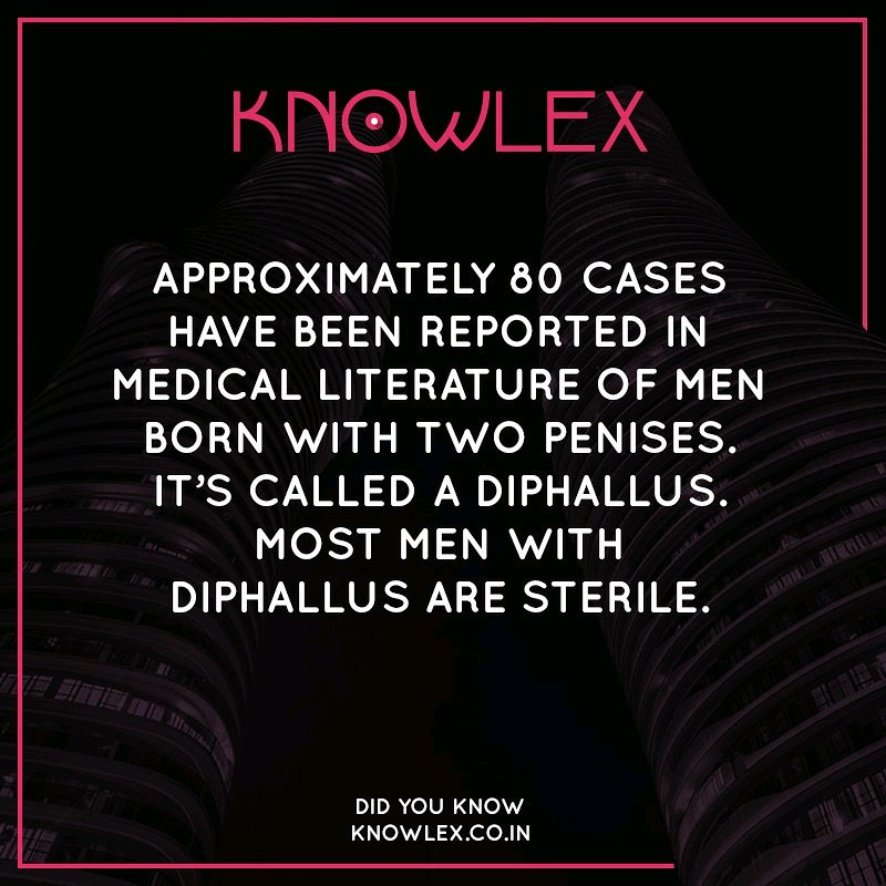 Diphallus Twitter