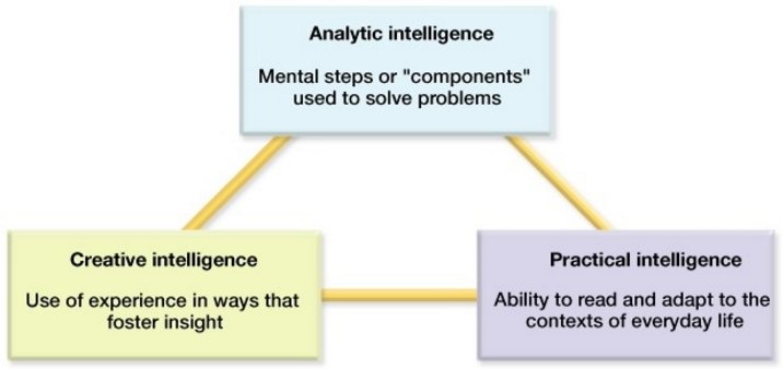 Robert Sternberg Triarchic Theory