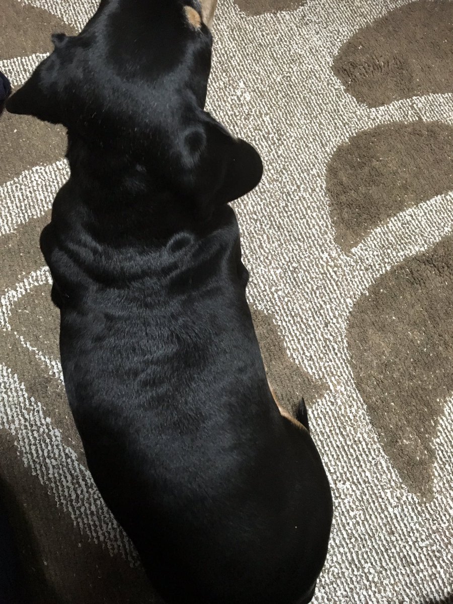 なお (@marohan_nao) | Twitter