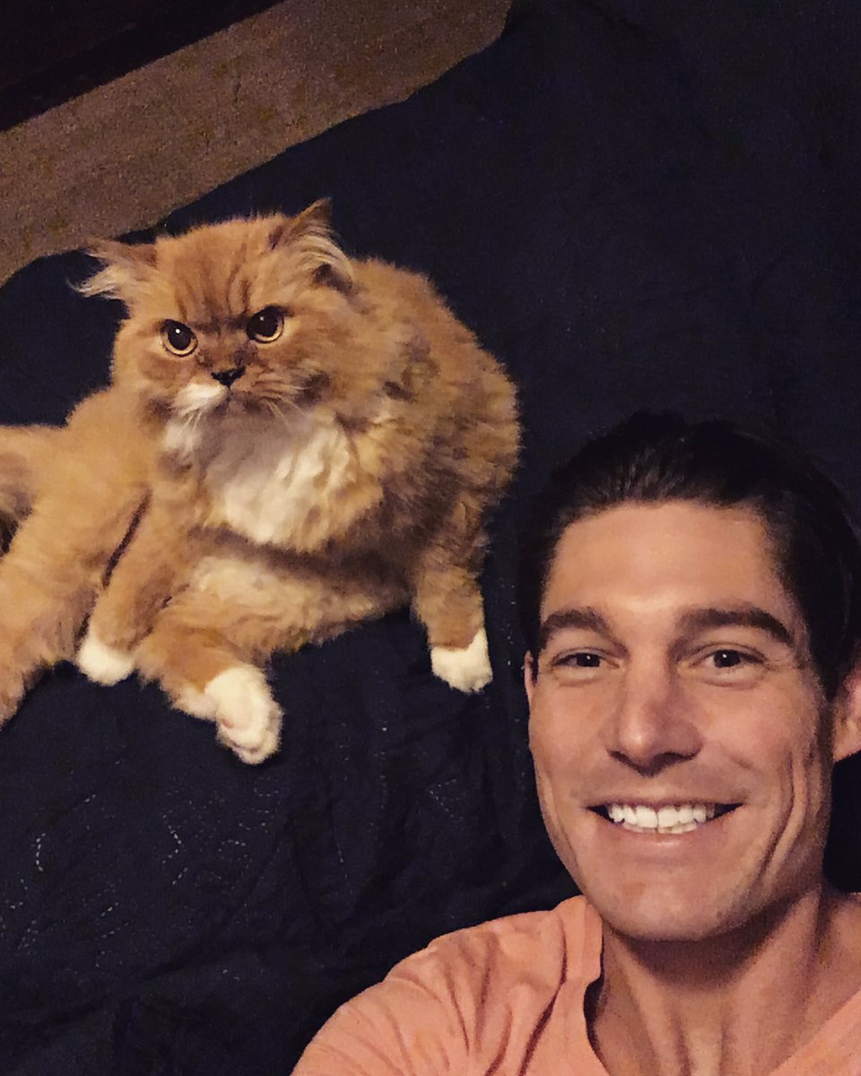 Real Housewives Cats : r/BravoRealHousewives