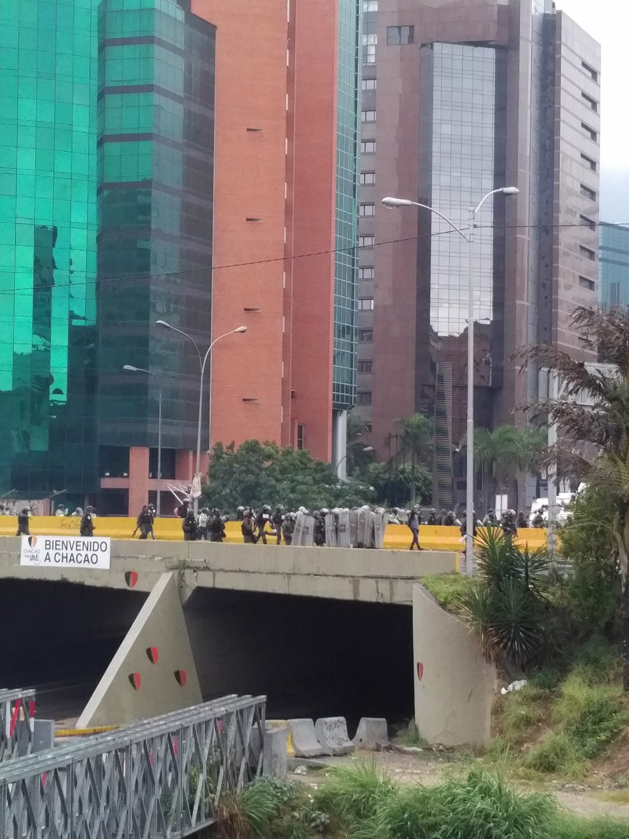 celia karim Rojas (@celiarojas) | Twitter