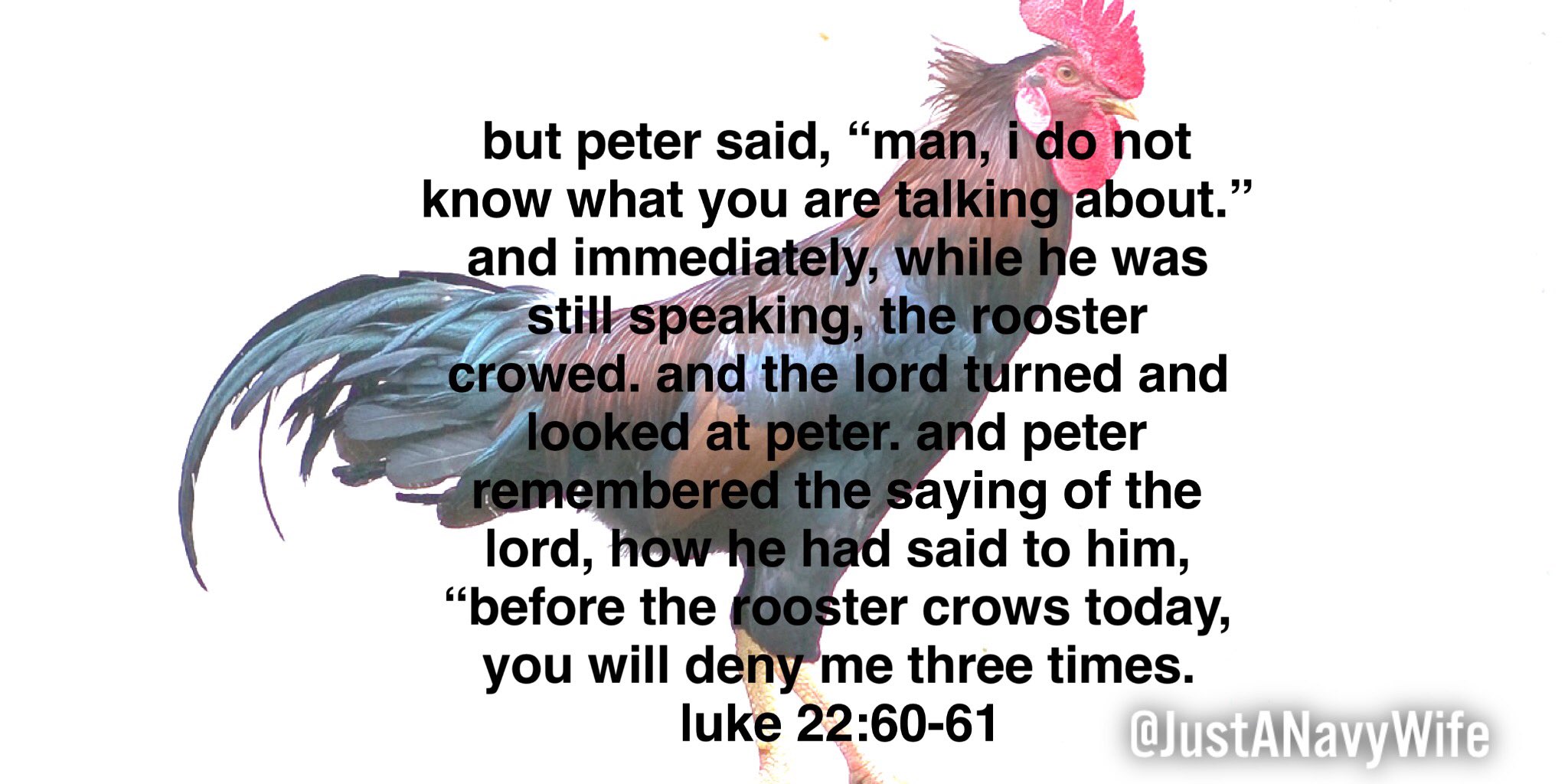 Rooster Crowing Peter