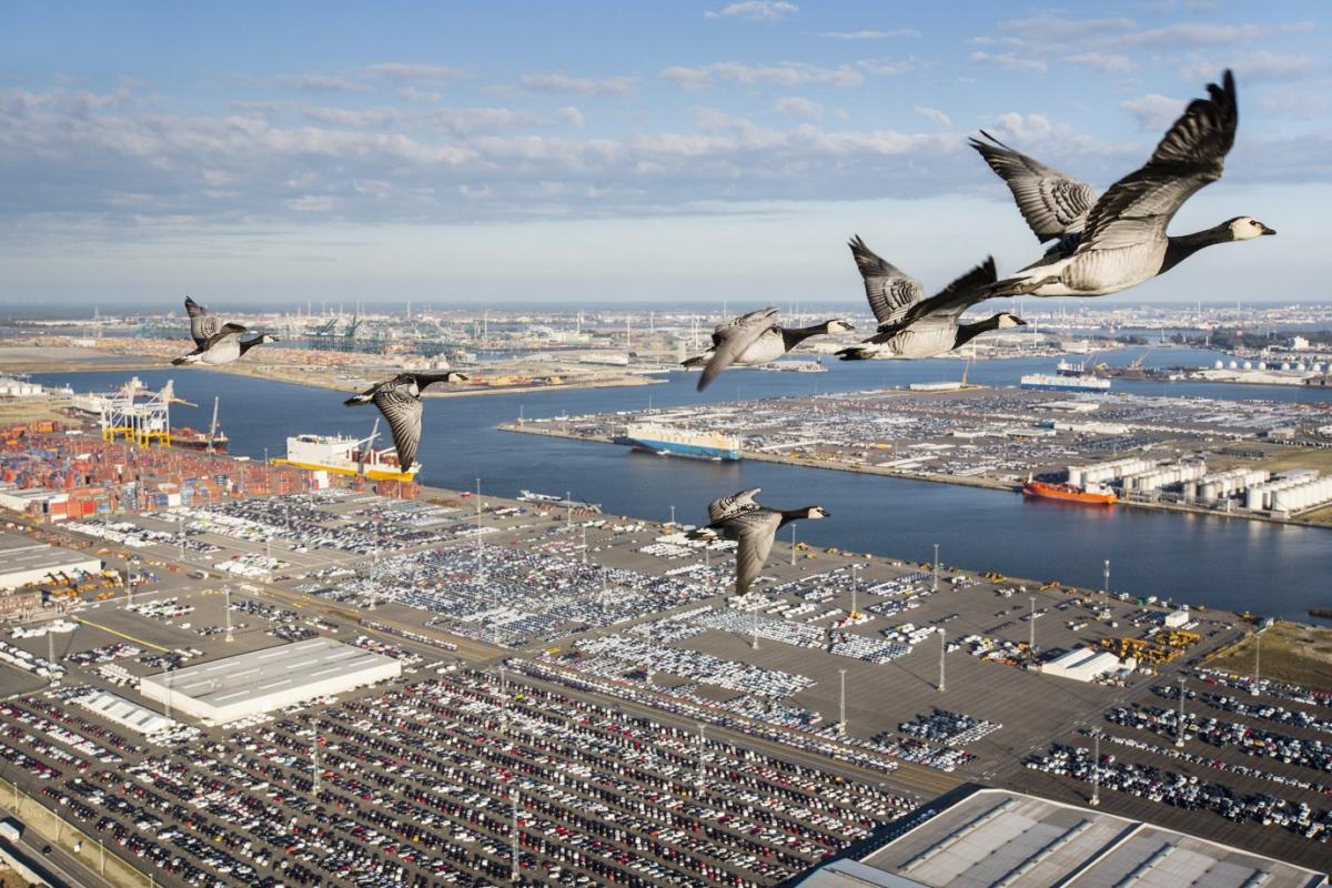 Port of Antwerp (@PortofAntwerp) | Twitter Port of Antwerp (@PortofAntwerp) | Twitter