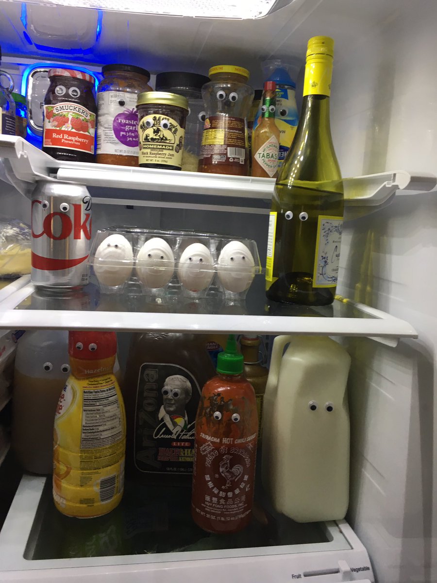 Googly Eyes On Things Fridge