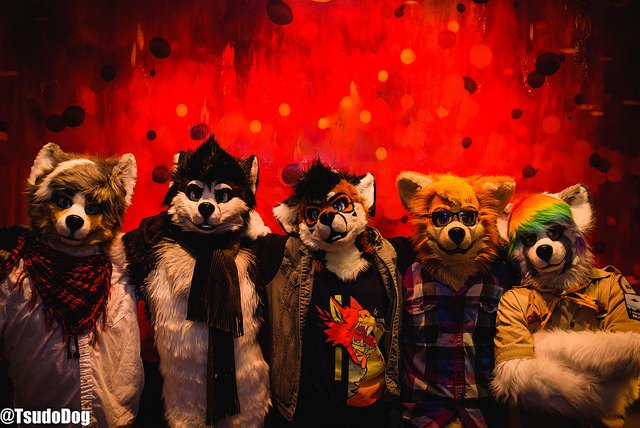 Mori Mutt@FurTheMore (@MoriMutt) | Twitter