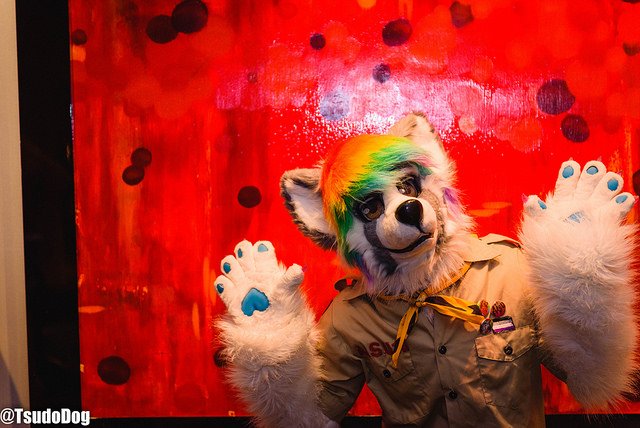 Mori Mutt@FurTheMore (@MoriMutt) | Twitter