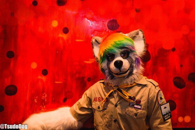 Mori Mutt@FurTheMore (@MoriMutt) | Twitter