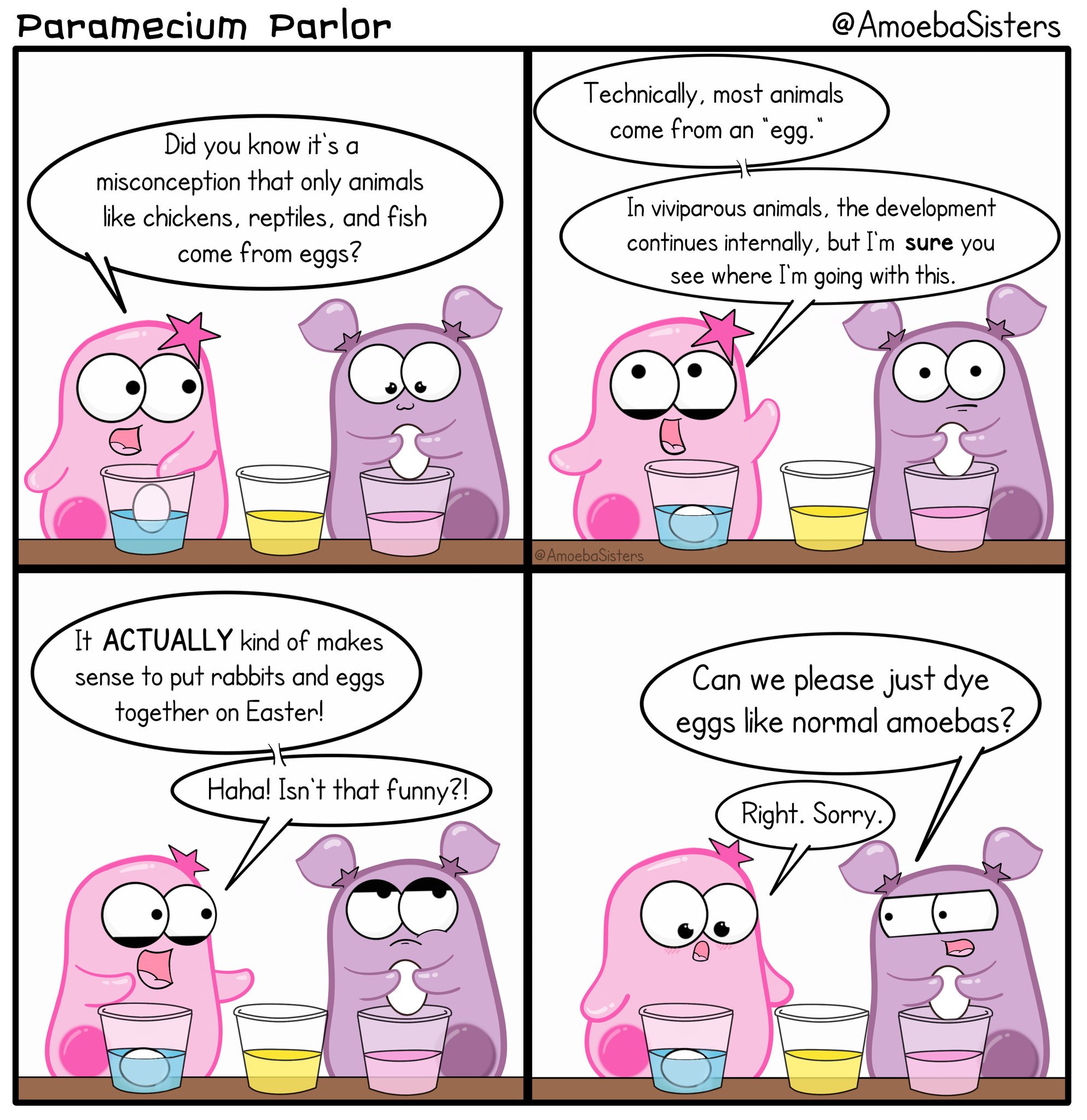 Amoeba Cartoon Funny