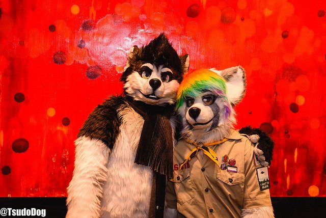 Mori Mutt@FurTheMore (@MoriMutt) | Twitter